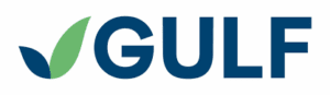GULF to Launch LNG Terminal at Map Ta Phut Phase 3